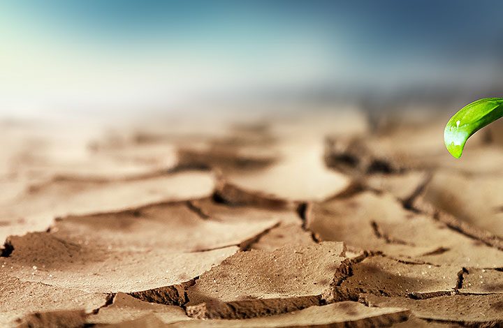 Fixing the finance drought - Allied Credit